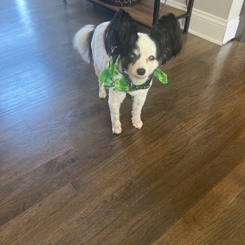 K9 BATH BODY & BOARDING - Updated October 2025 - 45 Photos & 15 Reviews - 28669 Hardiman Rd ...