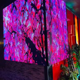 VOLCANO - Updated September 2025 - 257 Photos & 100 Reviews - 4830 ...