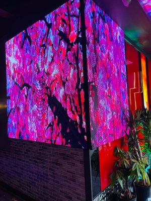 VOLCANO - 193 Photos & 43 Reviews - 4830 Virginia Beach Blvd, Virginia ...