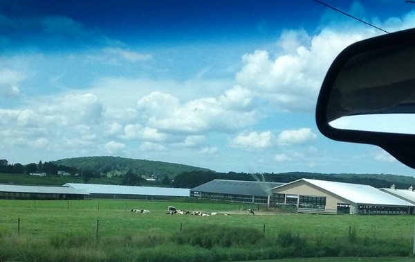 R&D ADAMS DAIRY FARMS - Updated December 2025 - 14 Photos - 4244 Elm ...