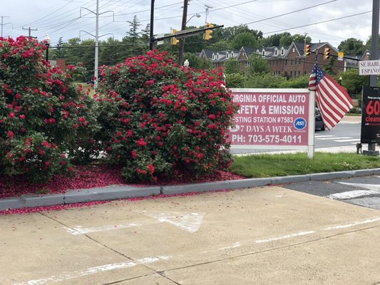 VIRGINIA OFFICIAL AUTO SAFETY & EMISSION TESTING STATION - Updated ...