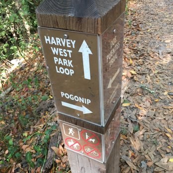 POGONIP - Updated August 2025 - 230 Photos & 40 Reviews - 333 Golf Club ...