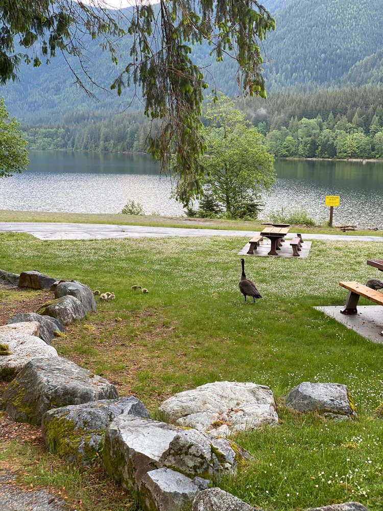 GOLDEN EARS PROVINCIAL PARK - Updated March 2025 - 74 Photos & 32 ...