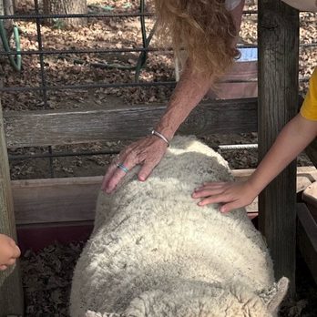 FOG WILLOW FARMS - Updated September 2025 - 475 Photos & 187 Reviews ...