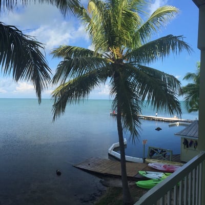 LIME TREE BAY RESORT - Updated December 2025 - 433 Photos & 220 Reviews ...