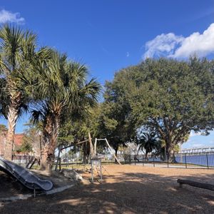 WELAKA STATE PARK - MUD SPRINGS - Updated July 2025 - 10 Photos ...