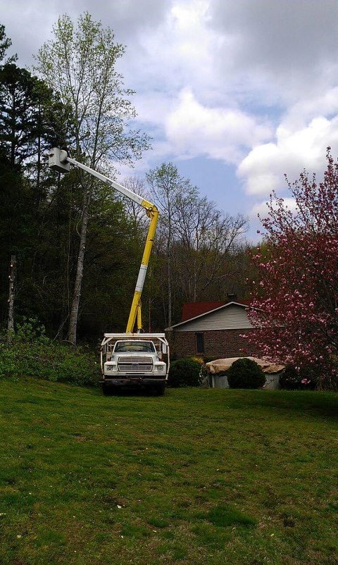 PALMER TREE SERVICE - Updated July 2025 - 1077 Wells Rd, Murphy, North ...
