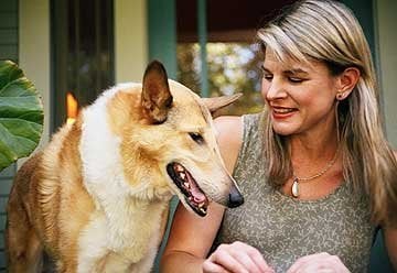 SHELBY MARLO ANIMAL BEHAVIORAL SPECIALIST - Updated October 2025 - 10 ...