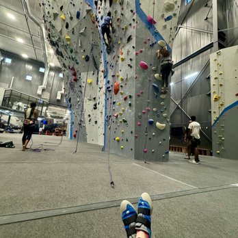 MOVEMENT PLANO - Updated January 2026 - 93 Photos & 54 Reviews - 525 ...