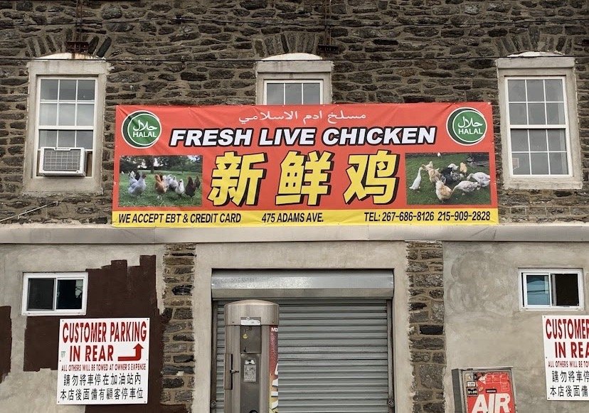 LIVE POULTRY - Updated October 2025 - 475 Adams Ave, Philadelphia ...