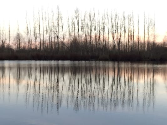 TWIN RIVERS PARK - 11 Photos - 8003 SE 530th NE, Arlington, Washington ...