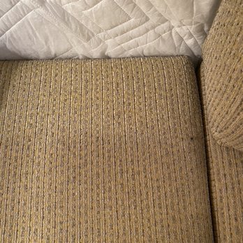 THOROCLEAN - Updated July 2025 - 17 Photos & 37 Reviews - 3206 Alta ...