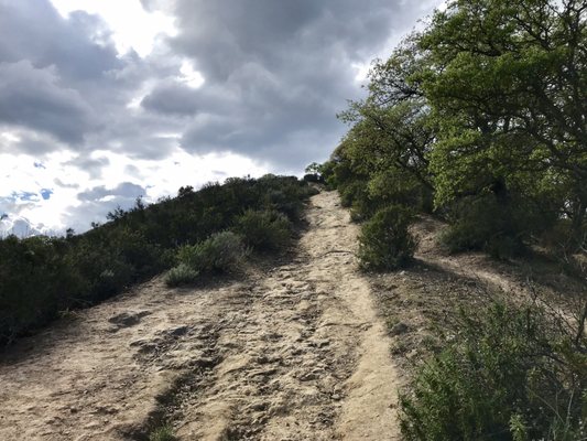 DIABLO FOOTHILLS REGIONAL PARK - 237 Photos & 44 Reviews - 1700 Castle ...