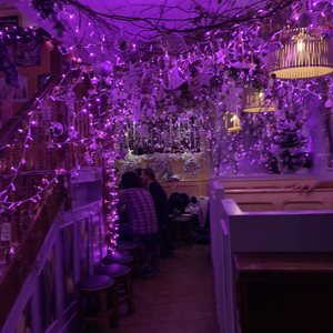 THE GINGER MAN - 91 Photos & 86 Reviews - 40 Fenian Street, Dublin ...