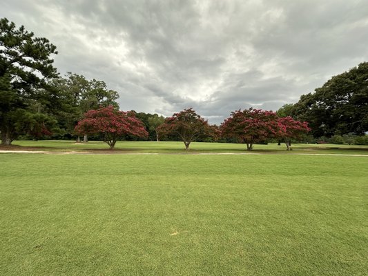 Raleigh Golf Association - Trusted Since 1929 - Updated July 2025 - 13 ...