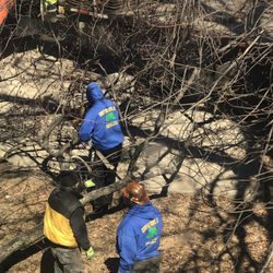 COUNTY TREE SERVICE - 164 Photos & 242 Reviews - 6600 W 41st St ...
