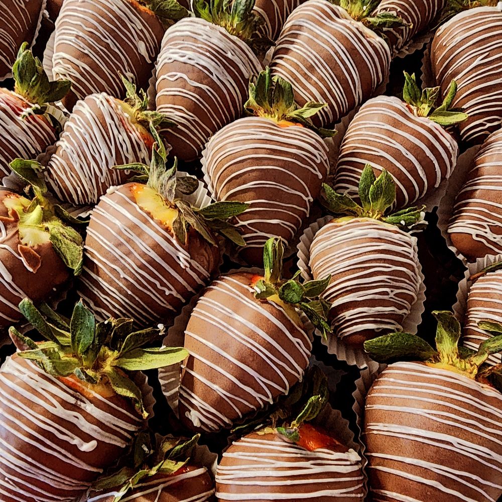 MI CUPCAKE - Updated January 2025 - 33 Photos - Columbus, Ohio ...