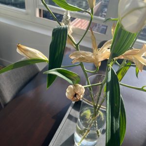 ZEZE FLOWERS - Updated October 2025 - 13 Reviews - 938 1st Ave, New ...