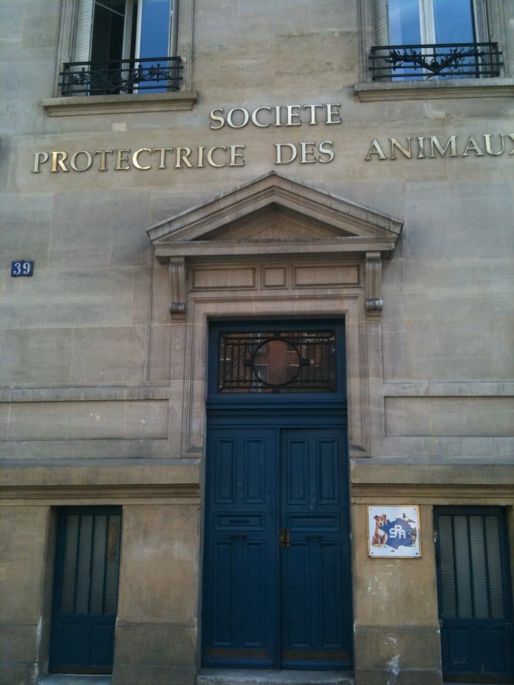 SOCIÉTÉ PROTECTRICE DES ANIMAUX - Updated May 2025 - 39 Boulevard ...