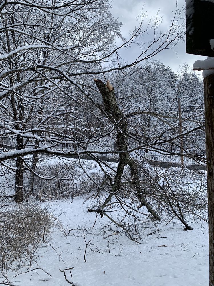 MEAD TREE & LANDSCAPE - Updated December 2025 - 17 Reviews - 73 Groton ...