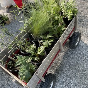 MOSCA DESIGN - Updated April 2025 - 11 Photos - 355 Park Ave ...