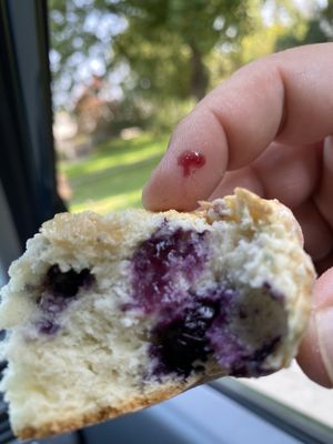 CORNER SCONE BAKERY - Updated August 2024 - 250 Photos & 183 Reviews ...