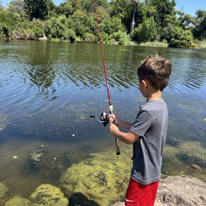 BONELLI BLUFFS RV RESORT & CAMPGROUND - 369 Photos & 288 Reviews - 1440 ...