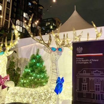 WUNDER GARTEN AT NOMA - Updated April 2025 - 378 Photos & 254 Reviews ...