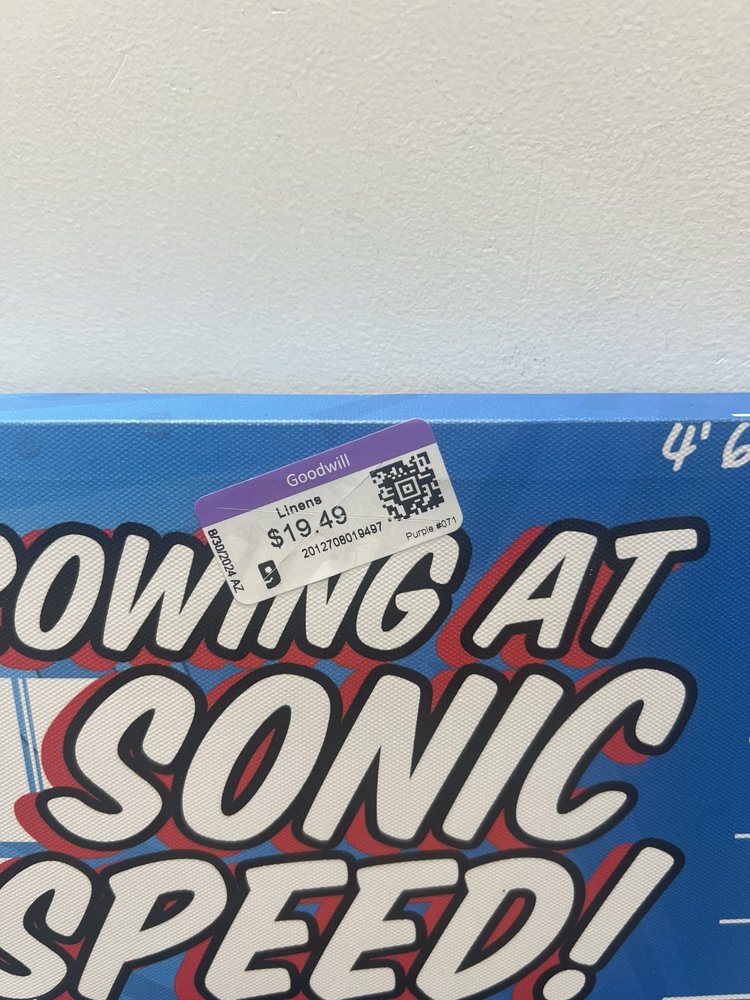 GOODWILL OF CENTRAL ARIZONA - Updated July 2025 - 24 Reviews - 3130 E ...
