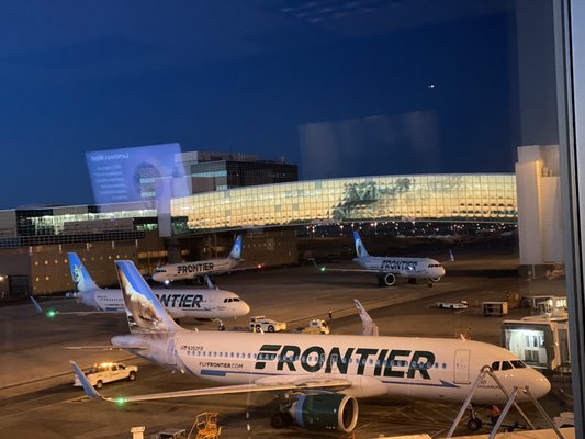 FRONTIER AIRLINES - Updated April 2024 - 545 Photos & 4806 Reviews ...