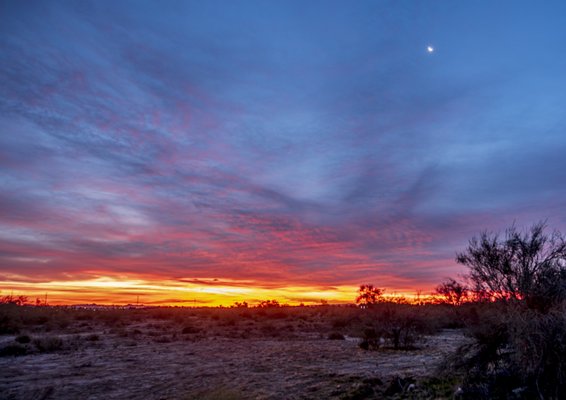 SHADOW RIDGE HIGH SCHOOL - Updated September 2025 - 56 Photos & 10 ...