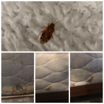 APPLE TREE INN - Updated August 2024 - 20 Photos & 38 Reviews - 9508 N ...