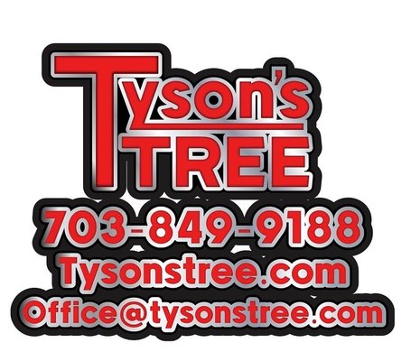 TYSON’S TREE SERVICE - Updated June 2026 - 22 Photos & 41 Reviews ...