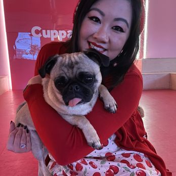 CUPPA PUG - Updated August 2025 - 181 Photos & 71 Reviews - 607 W 9th ...