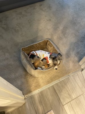 SPAY NOW - Updated January 2026 - 26 Reviews - 125 Pullman Crossing Rd ...