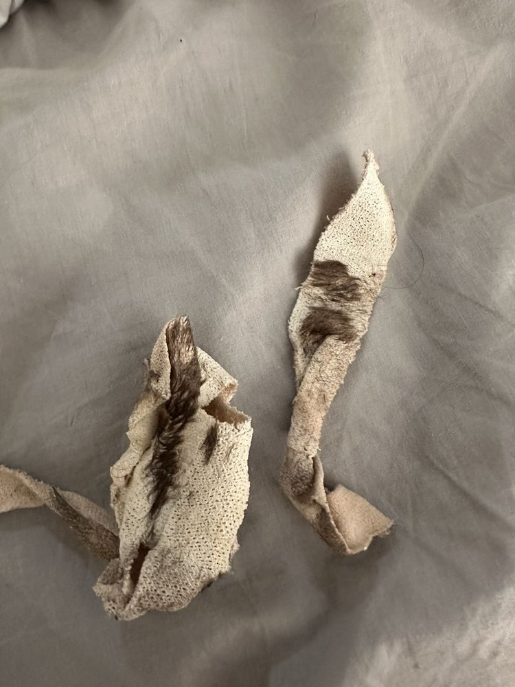 EAR TRIM - Updated May 2025 - 126 Photos & 72 Reviews - 2445 Farm To ...