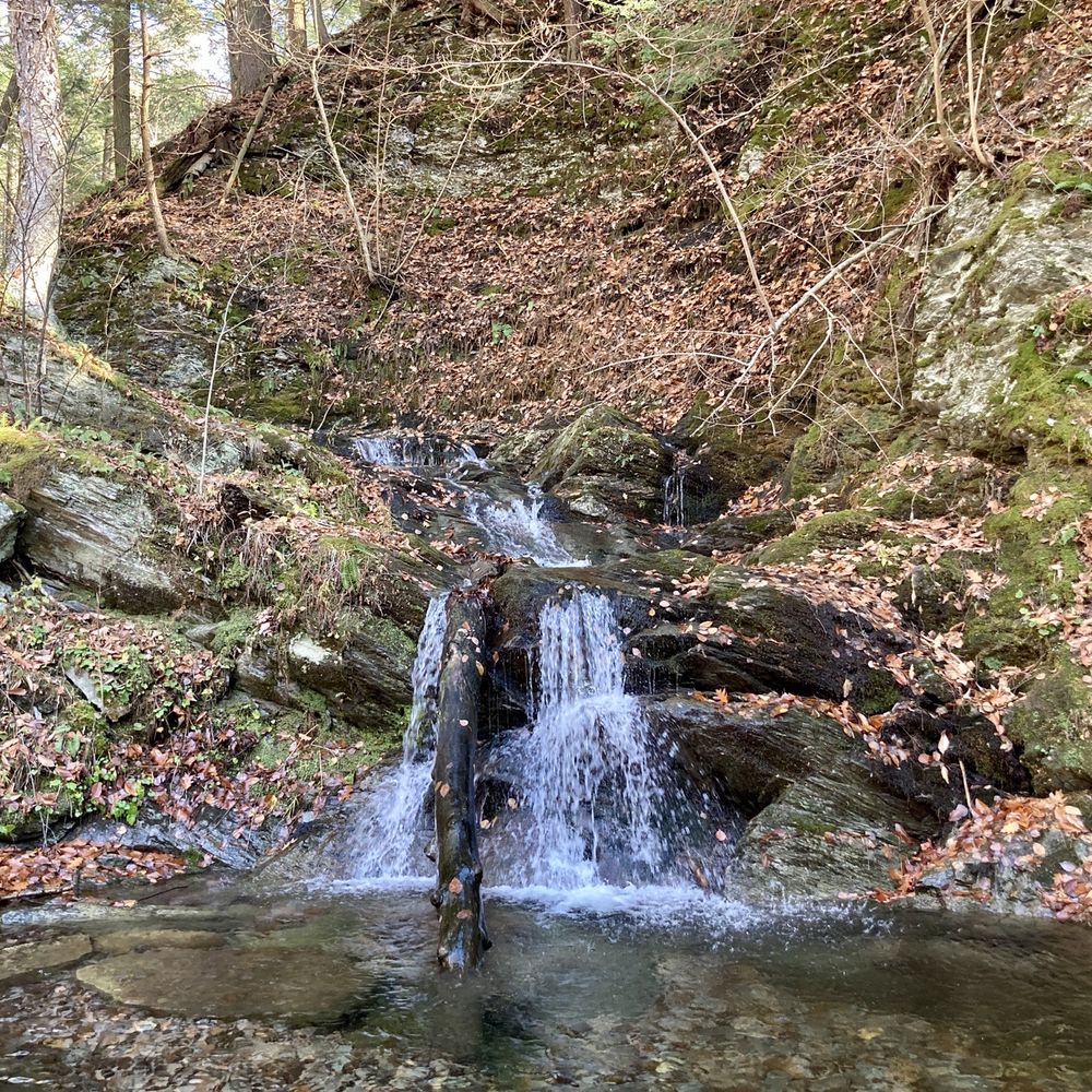 Zen Garden Castleton Vermont | Fasci Garden