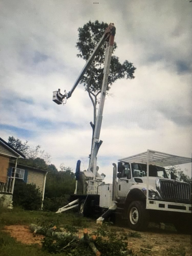 A & H TREE SERVICE - Updated July 2025 - 25 Photos - Fair Play, South ...