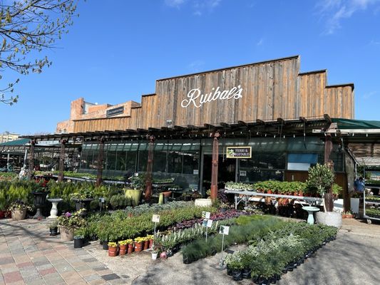 RUIBAL’S PLANTS OF TEXAS - Updated February 2026 - 302 Photos & 112 ...