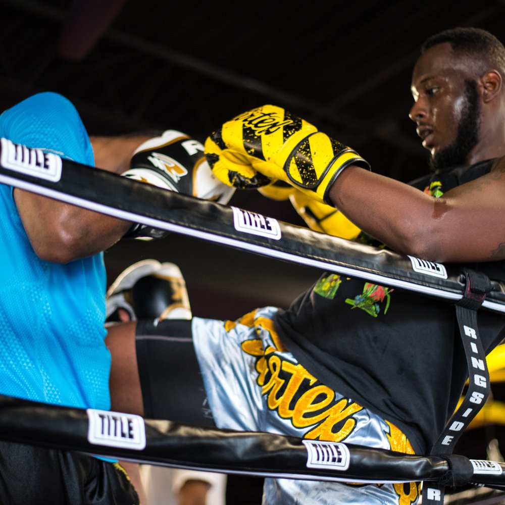 PUGILIST CONNECTIONS - Request Consultation - 15 Photos - San Diego ...