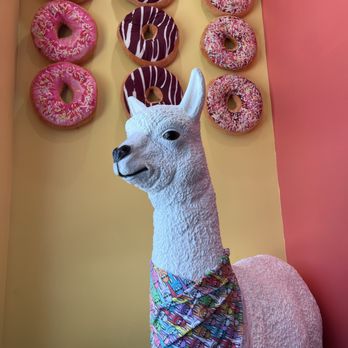 SUGAR LLAMAS - Updated March 2025 - 56 Photos & 41 Reviews - 242 Rufe ...