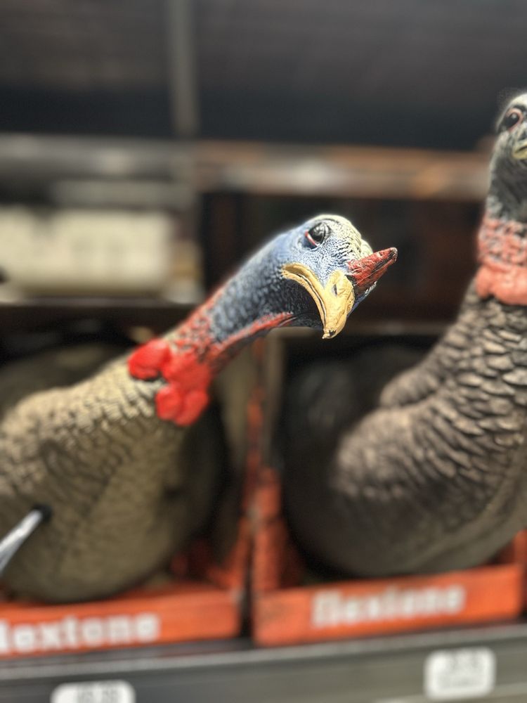 BASS PRO SHOPS - Updated April 2026 - 161 Photos & 59 Reviews - 8181 ...