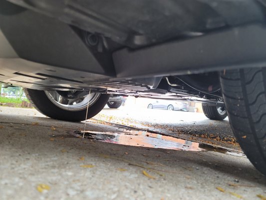 PACKEY WEBB FORD - Updated January 2026 - 60 Photos & 220 Reviews ...