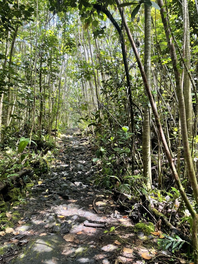 HA’ENA BEACH - AKA SHIPMAN BEACH - 61 Photos & 16 Reviews - Hiking ...
