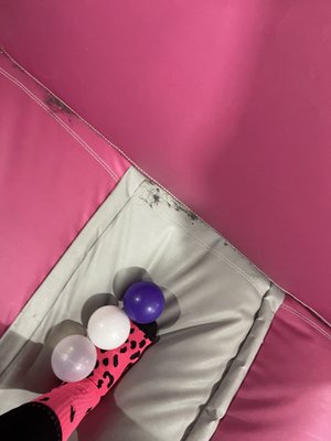 CATAPULT ADVENTURE PARK - 48 Photos & 52 Reviews - 35025 Enchanted Pkwy ...