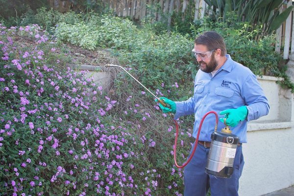 AARON ALAN PEST CONTROL - Updated October 2025 - Colleyville, Texas ...