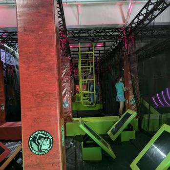 ADRENALINE MONKEY - Updated January 2026 - 11 Photos - 4950 Centre ...