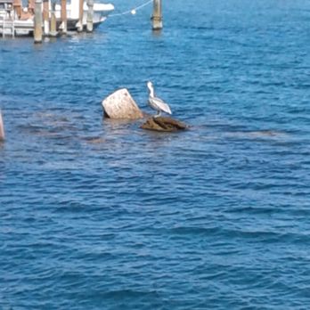 HARVEY E OYER JR PARK - Updated August 2025 - 42 Photos - 2010 N Federal Hwy, Boynton Beach ...