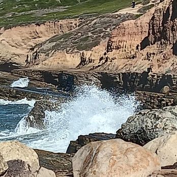 POINT LOMA TIDE POOLS - Updated December 2025 - 965 Photos & 138 ...