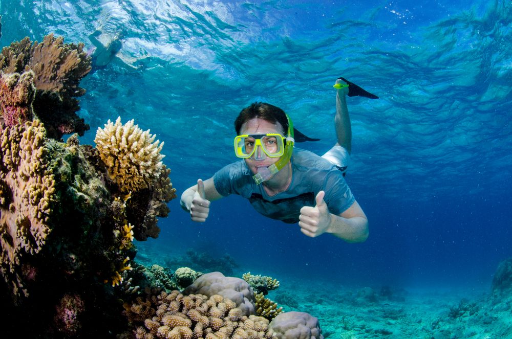 ABC SNORKEL CHARTERS - Updated November 2025 - 32 Photos & 10 Reviews ...